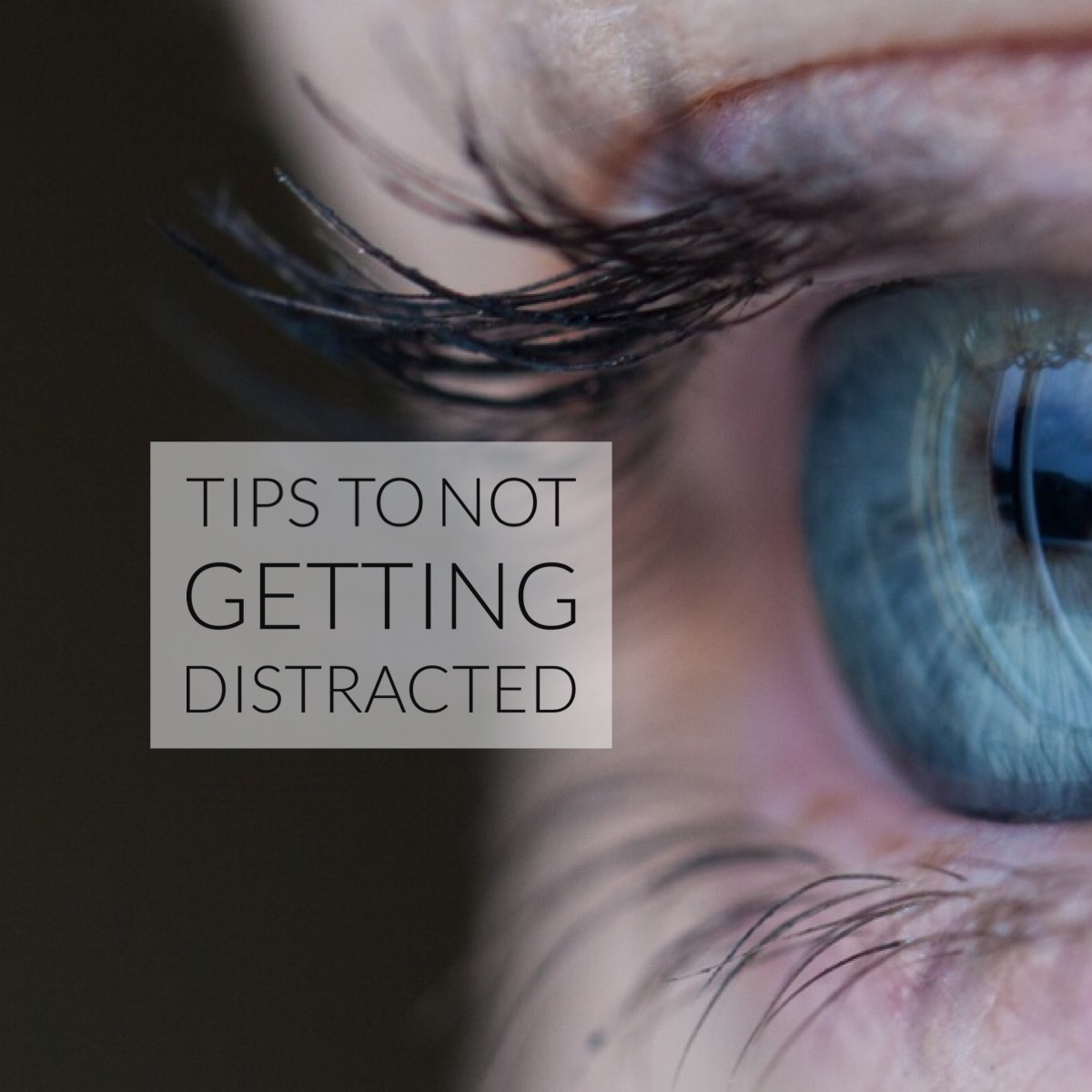 7 Tips to Not Getting Distracted as a Freelancer - Due